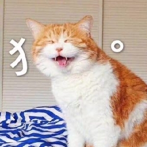 白桃乌龙茶加冰三分糖 