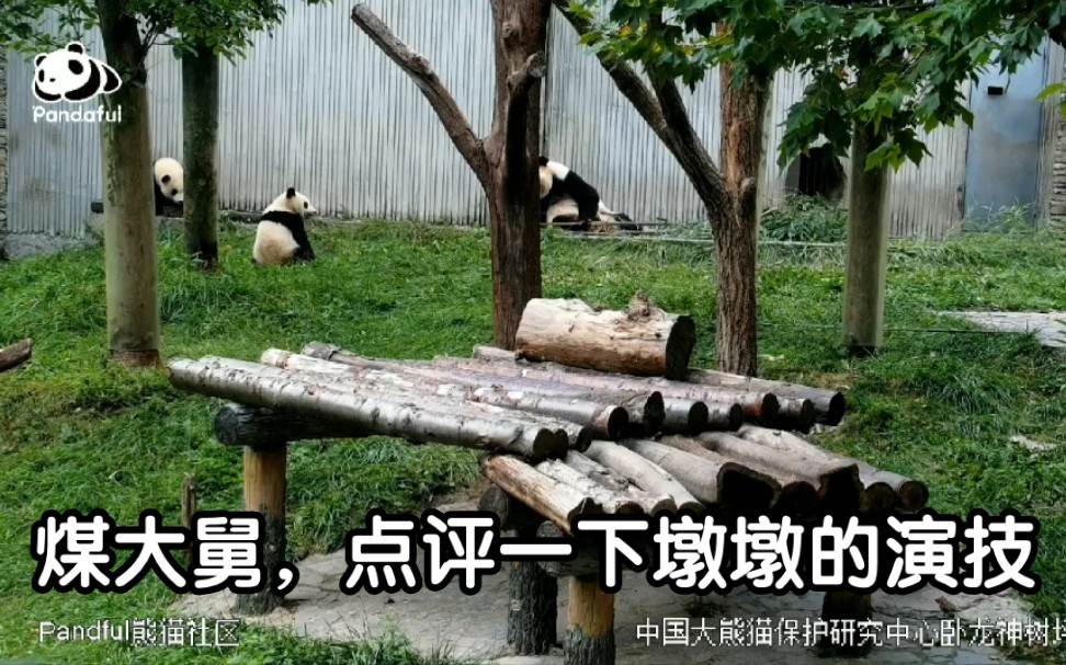 ...中,冰冰一脸懵:我还没动手你怎么就倒下了?(蔓越煤的表演课没白上)
