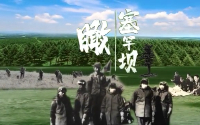瞰塞罕坝:最美一抹中国绿