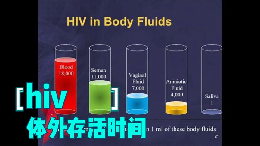 hiv病毒在人体外可以存活多久?