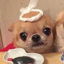 屎倒淋头还搅便啊啊 