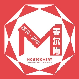 麦尔肯出国 