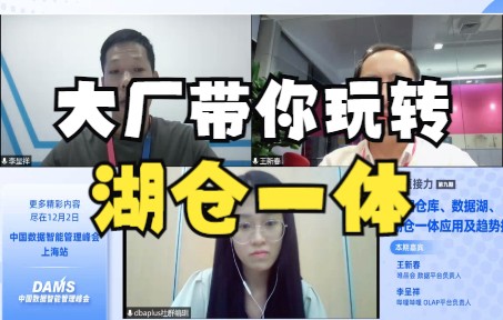 唯品会&B站在数据仓库、数据湖、湖仓一体上的发展历程和相关实践