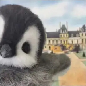 GZ编程 