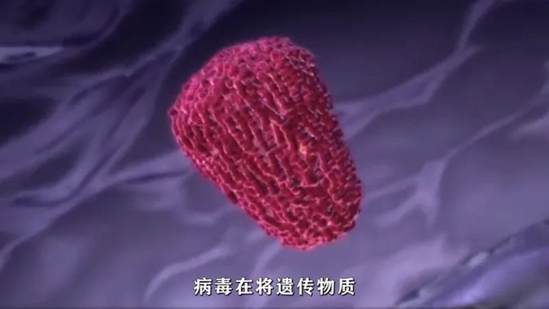 科学逆转录病毒:HIV感染细胞的过程