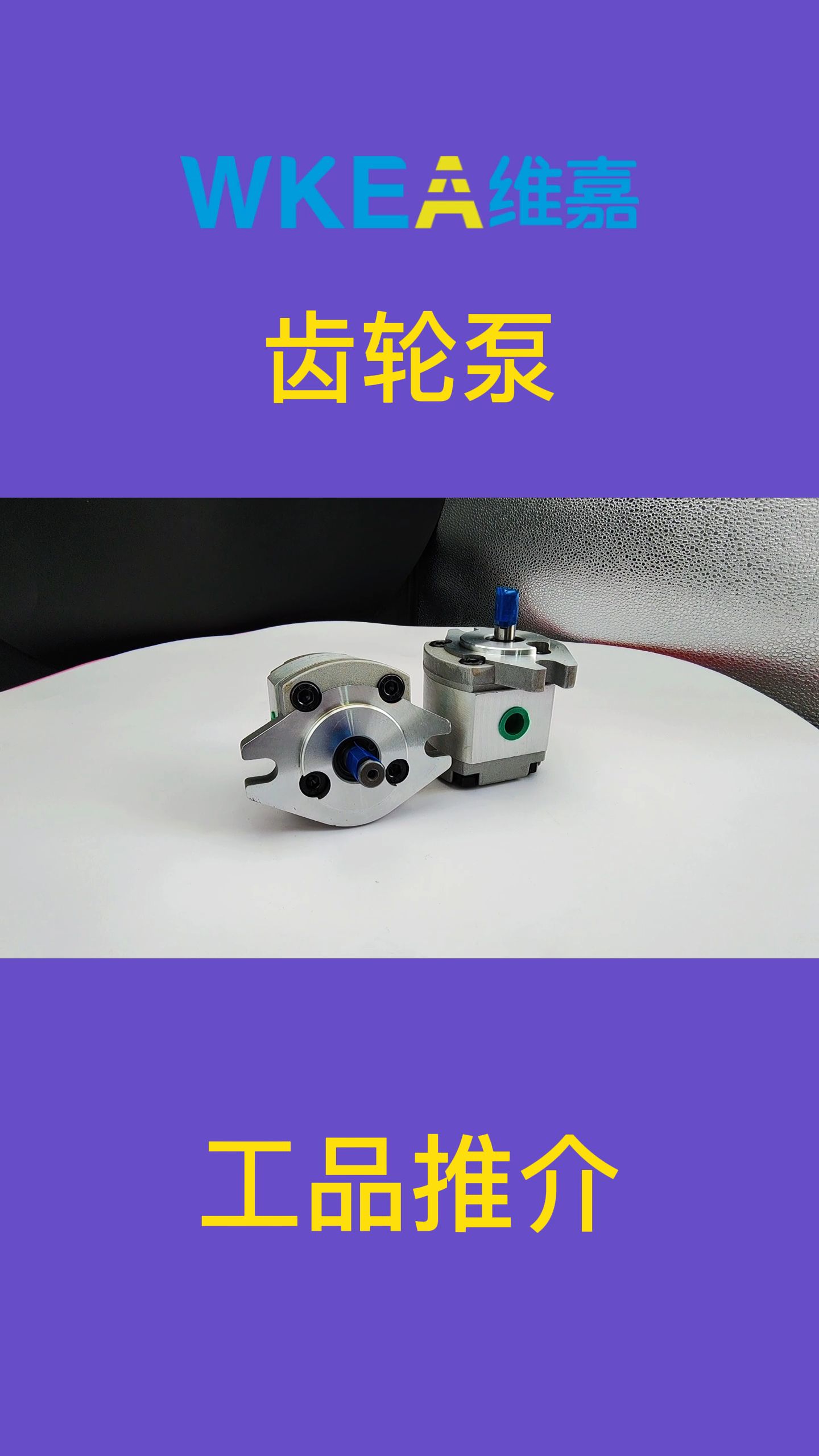 2分钟让你快速了解齿轮泵,WKEA维嘉齿轮泵。
