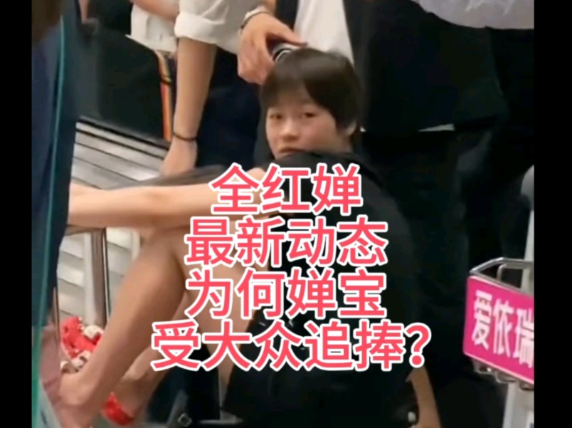 全红婵最新动态!为何婵宝受大众追捧?原因终于找到了…