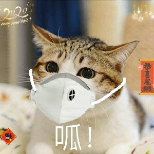 残留v枫楪 