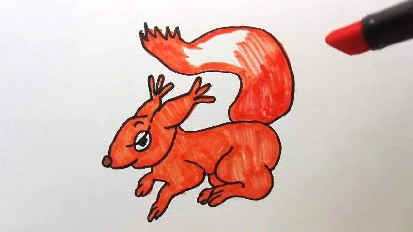 亲子育儿简笔画,画松鼠简笔画,喜欢的画一画哦