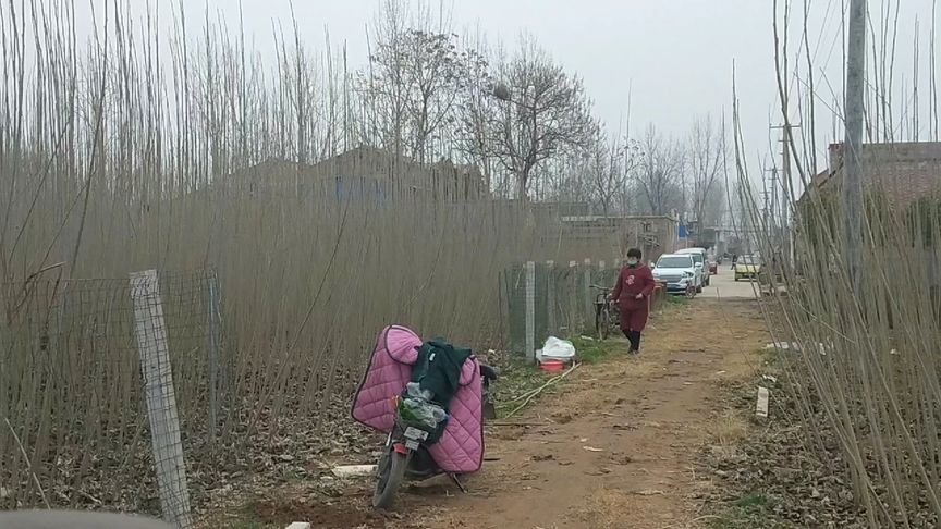 植树造林,造福后人。现在正是春季植树造林的时候,看他们都在干