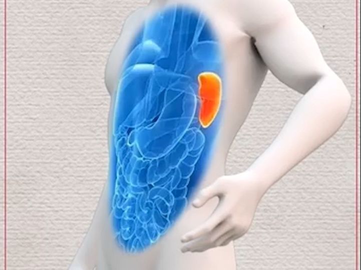 08足太阴脾经21穴详解