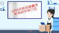 WPS如何给手机号或身份证打码