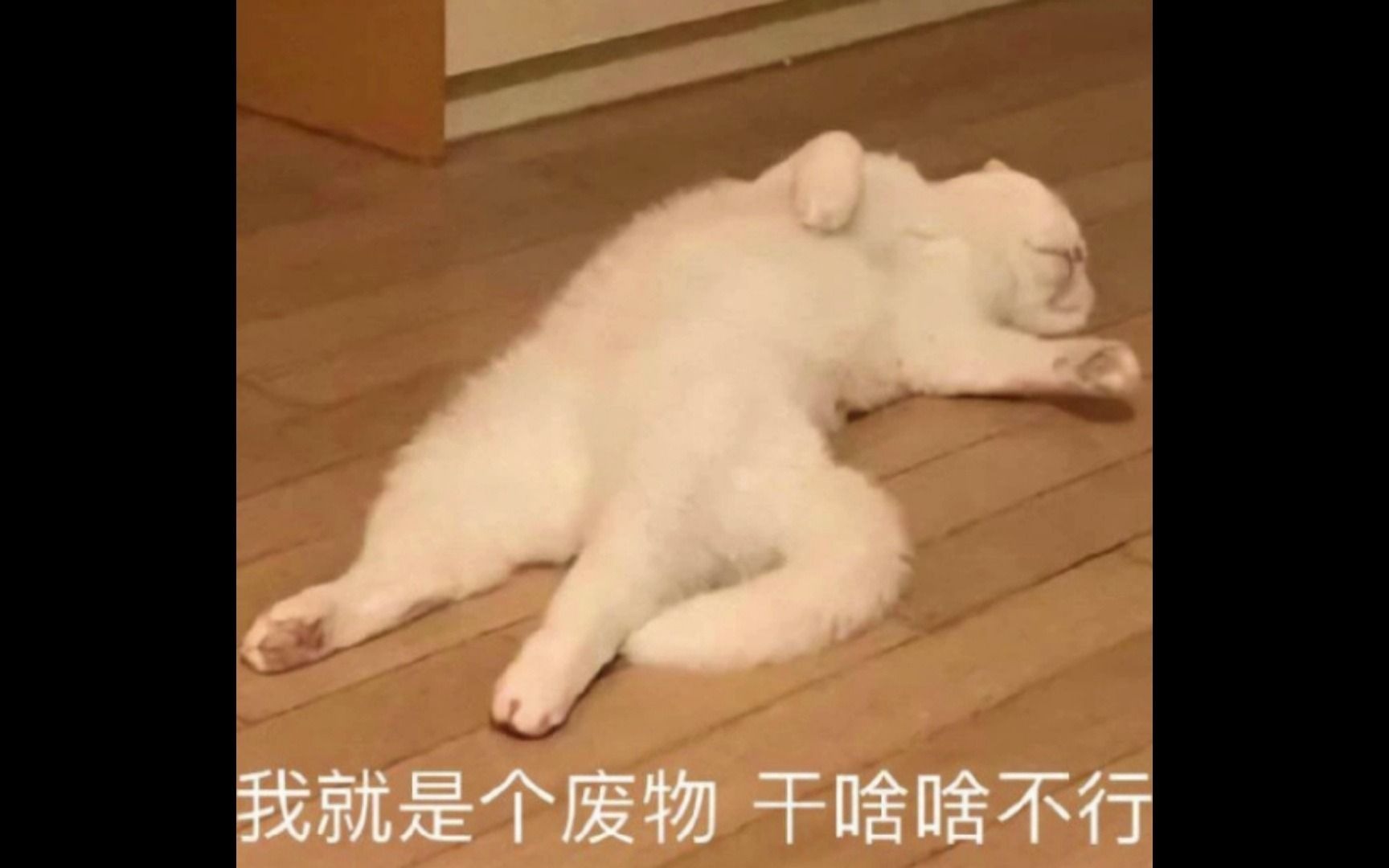 【血染竞技】【魔兽世界】火法AOE手法思路分享及一键宏单体 群体...
