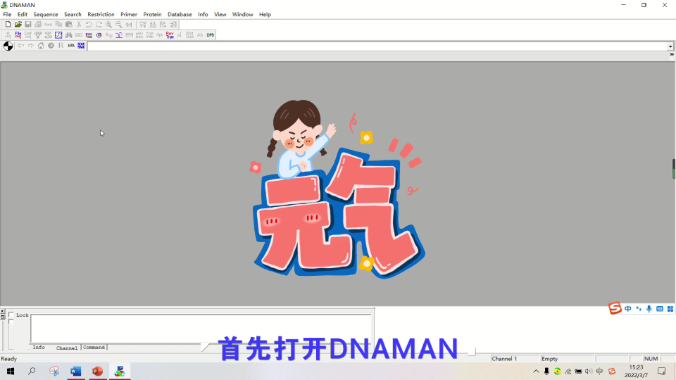 使用DNAMAN进行序列比对(安装包自取)