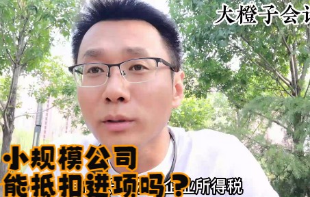 小规模公司能抵扣进项吗?