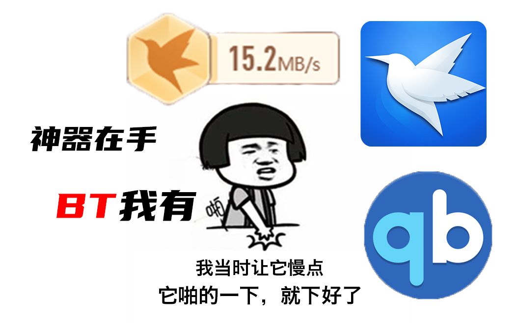 最新版 迅雷+qBittorrent下载BT视频教程(长期使用)