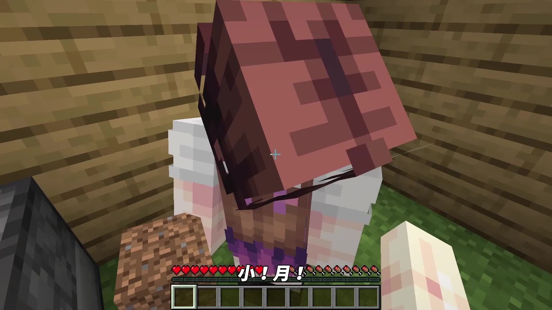 我的世界猎人的生存日记.