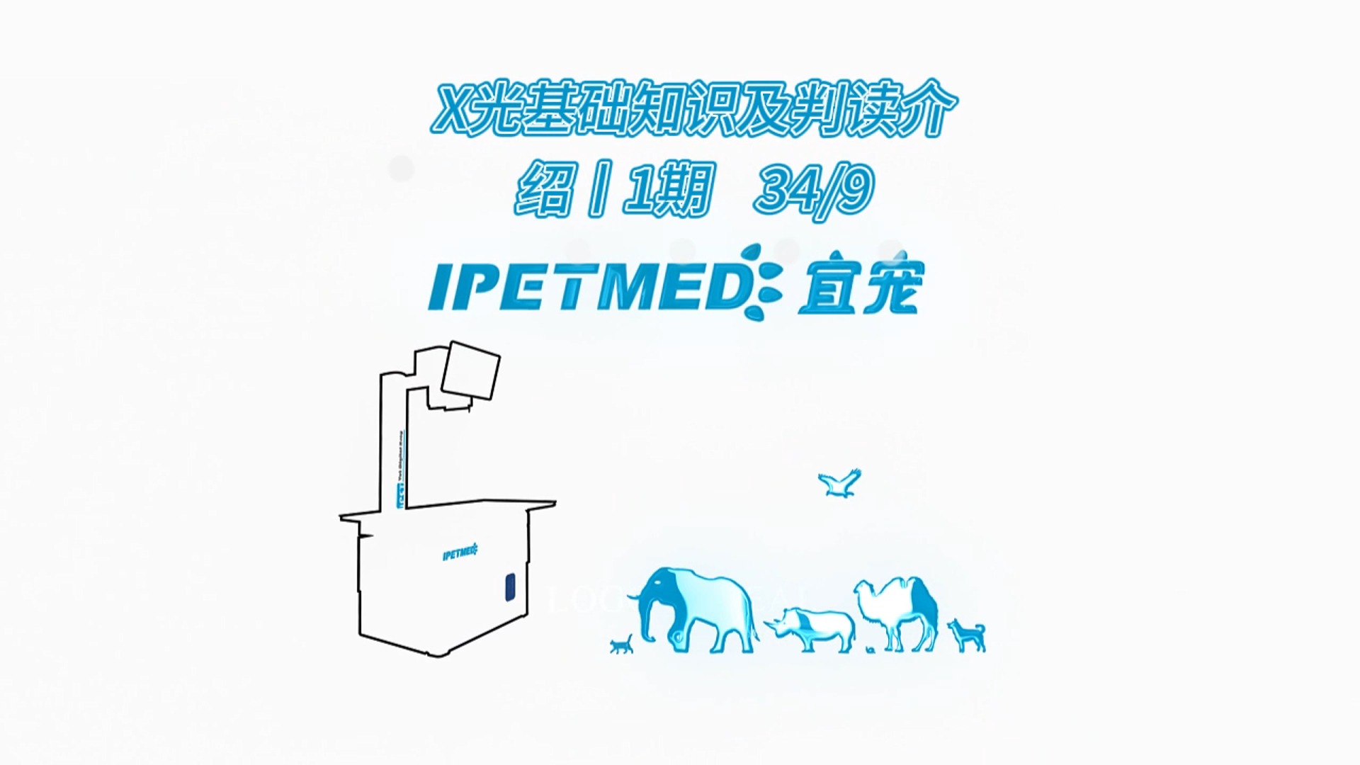 宜宠DR课堂!X光的基础知识及判读介绍 第1期34/9