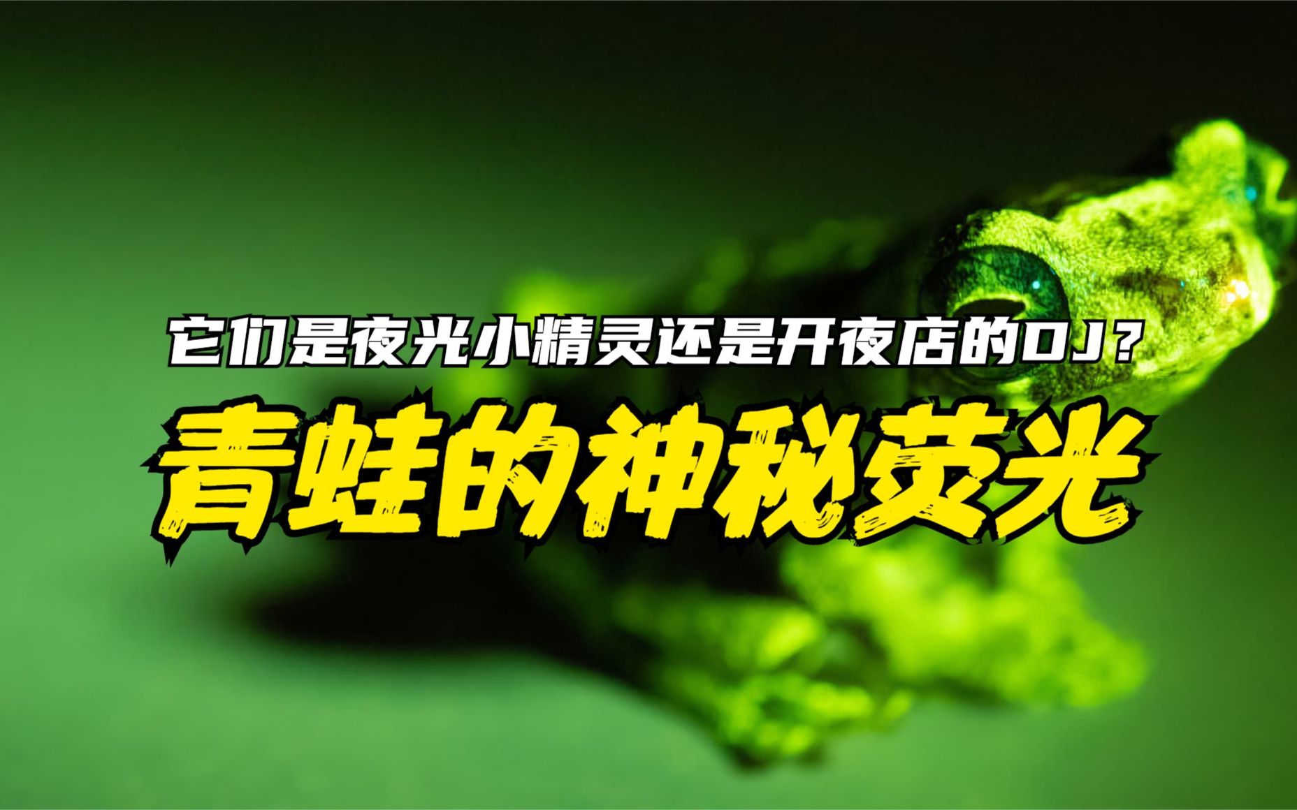青蛙的神秘荧光:它们是夜光小精灵还是开夜店的DJ?