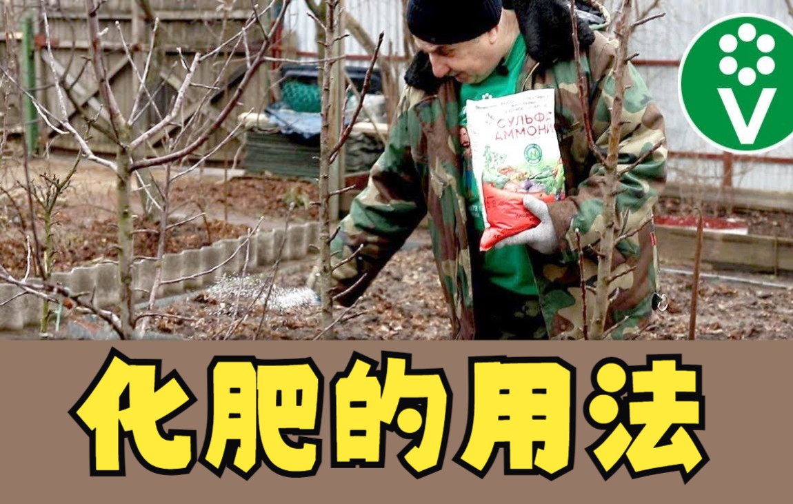 硝酸铵如何正确的使用,应该搭配什么样的化肥?