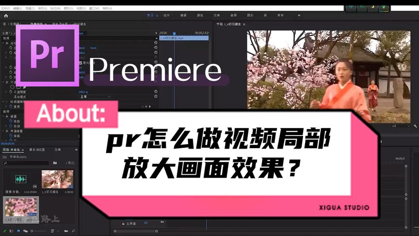 pr怎么做视频局部放大画面效果?