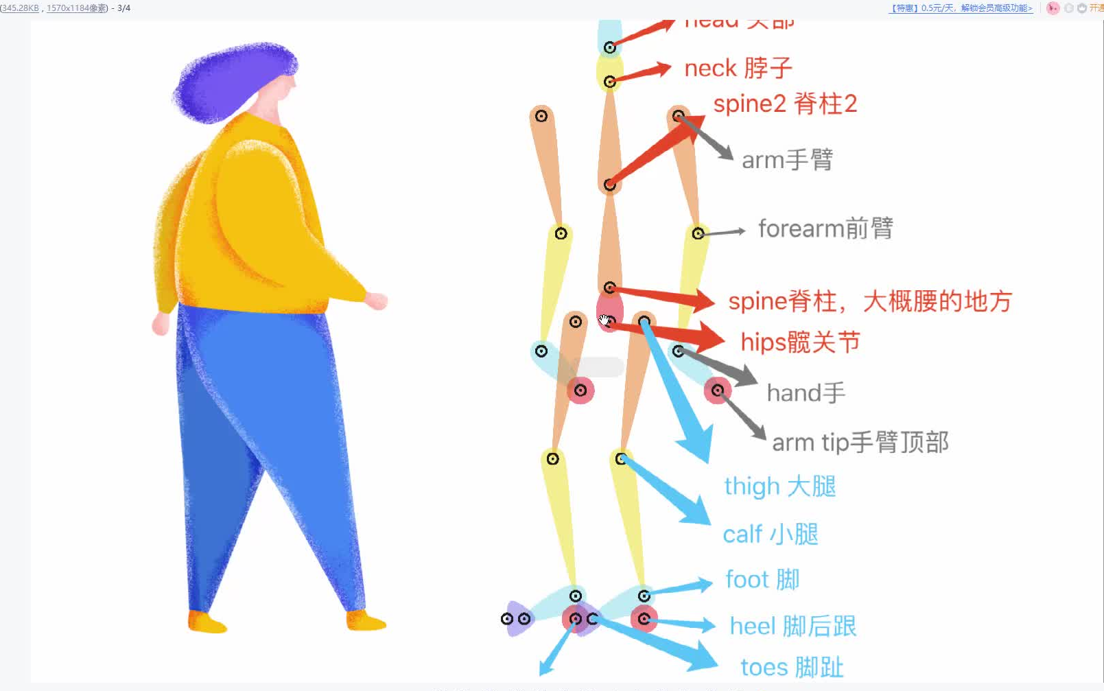 [AE教程]MG动画Duik绑定