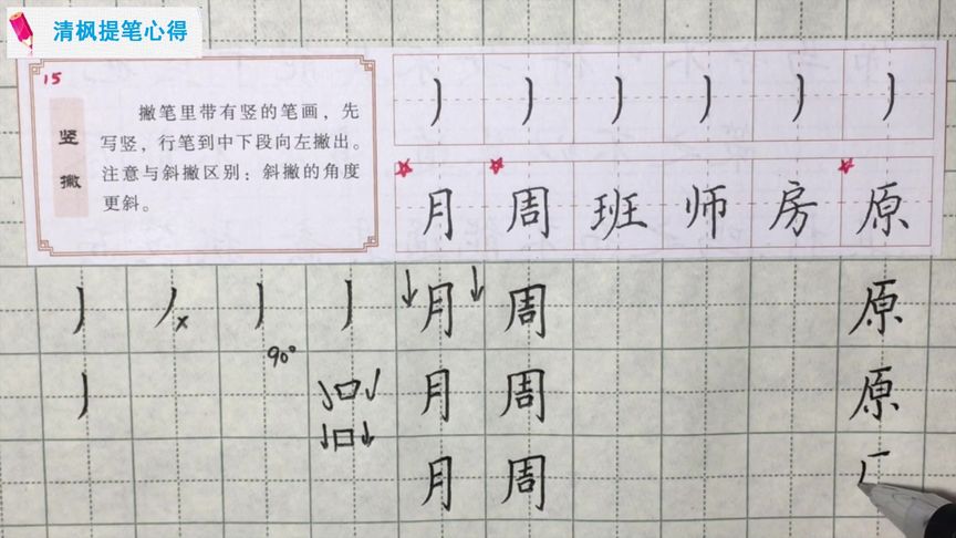 哇!这是我最想要的硬笔书法视频教程,在家就能学,真的很适合我