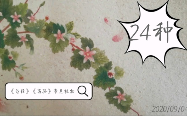 你认识这些《诗经》《楚辞》中常见的24种植物吗?