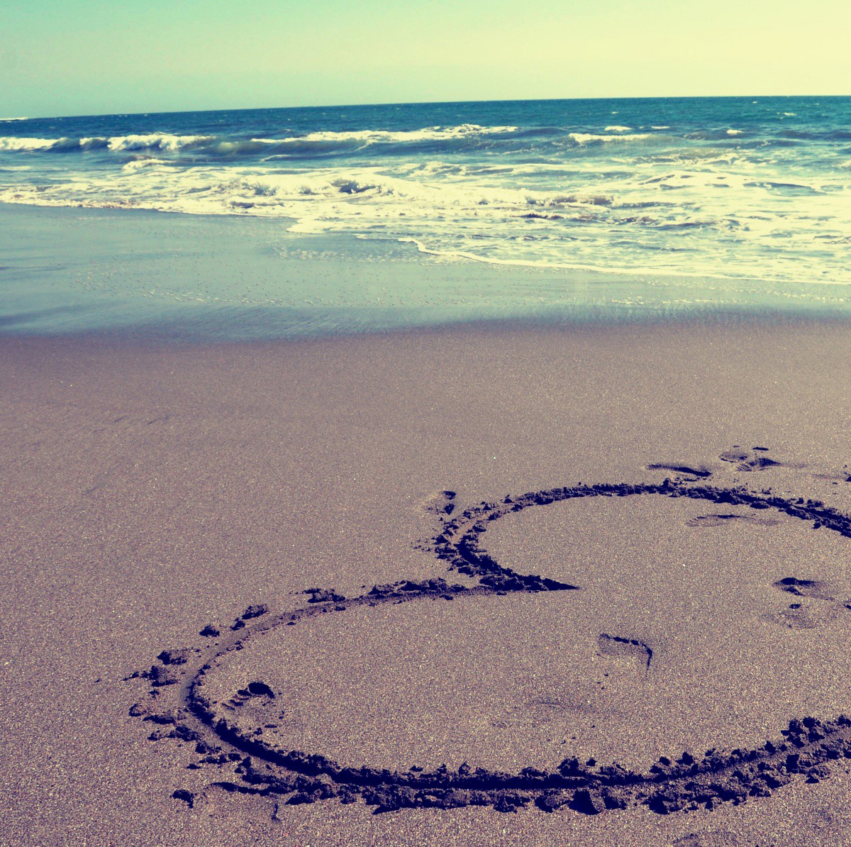 我他社保翘计堪 