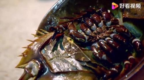 漫长岁月中,这些生物如何在生态系统中发挥关键作用