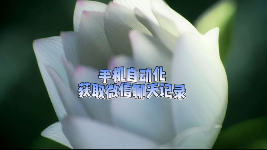 一个自动获取微信聊天记录的小程序