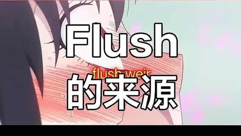 英语中"flush"的多重含义与词源