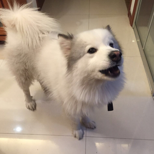 Keep_Si1enT小琛琛 