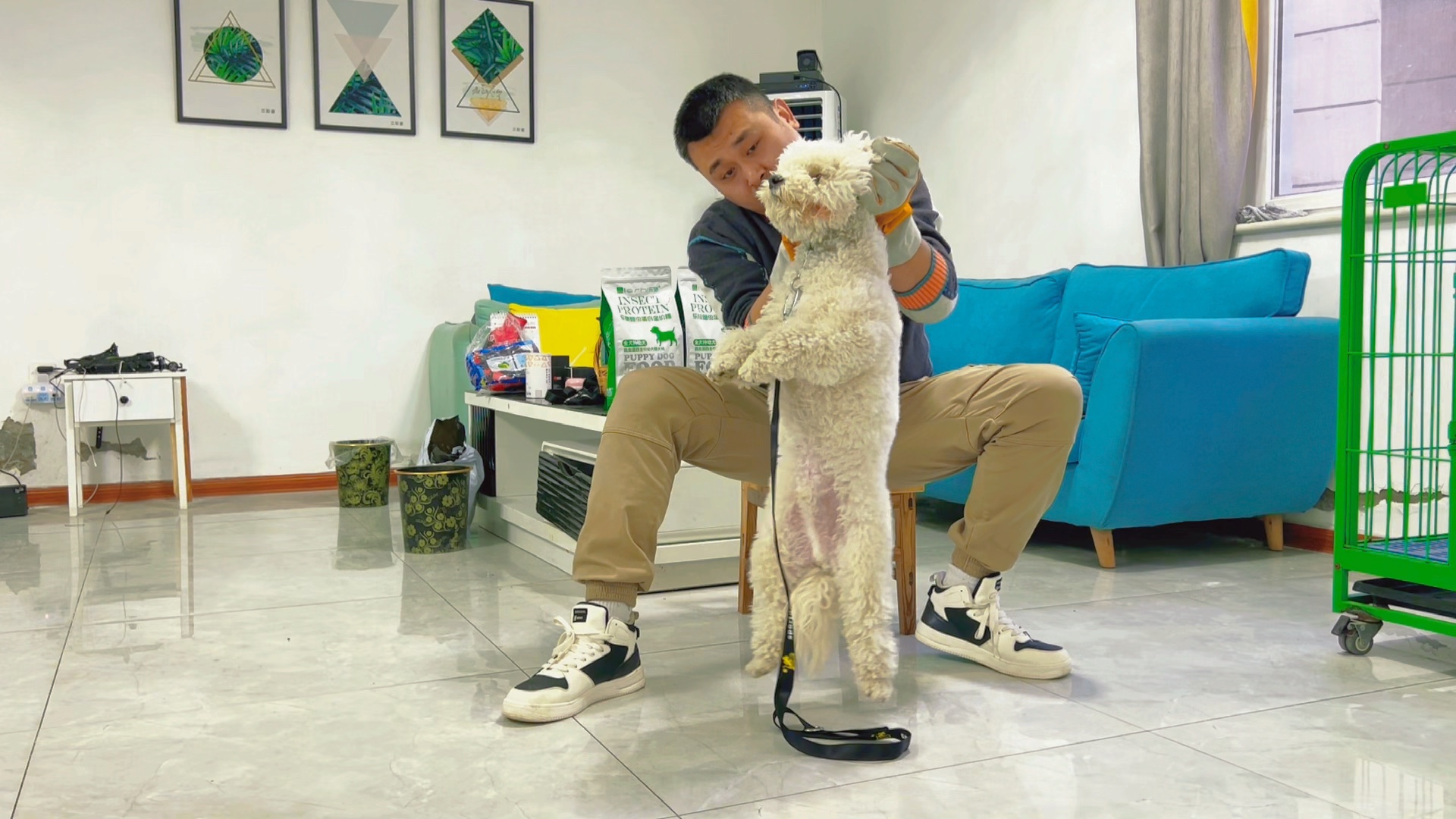 第六集 对于咬人的狗狗,主人一定不能害怕。只要不怕狗就翻不了天