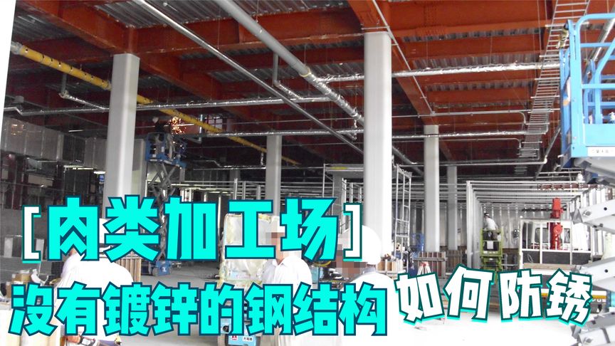 食品/肉类加工场/屠宰场室内钢结构为什么要刷这种灰色油漆?