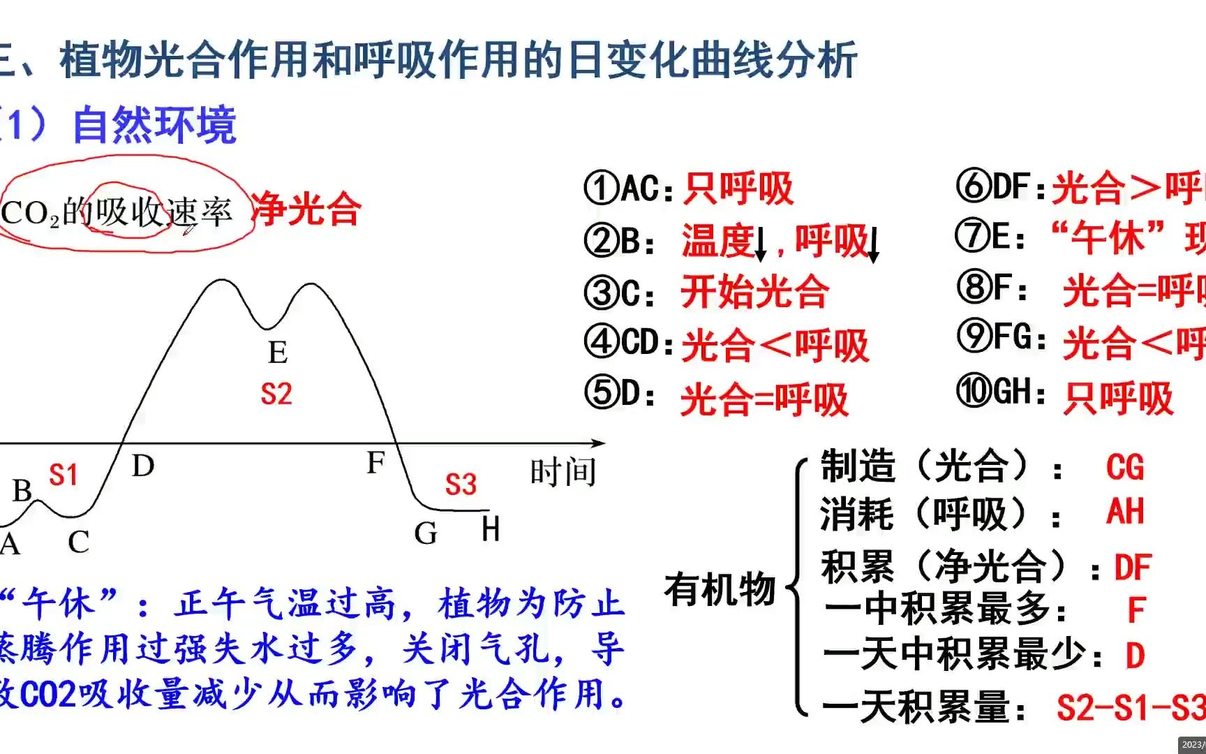 2023.1.4 网课 光合作用曲线图+细胞的增殖第一课时