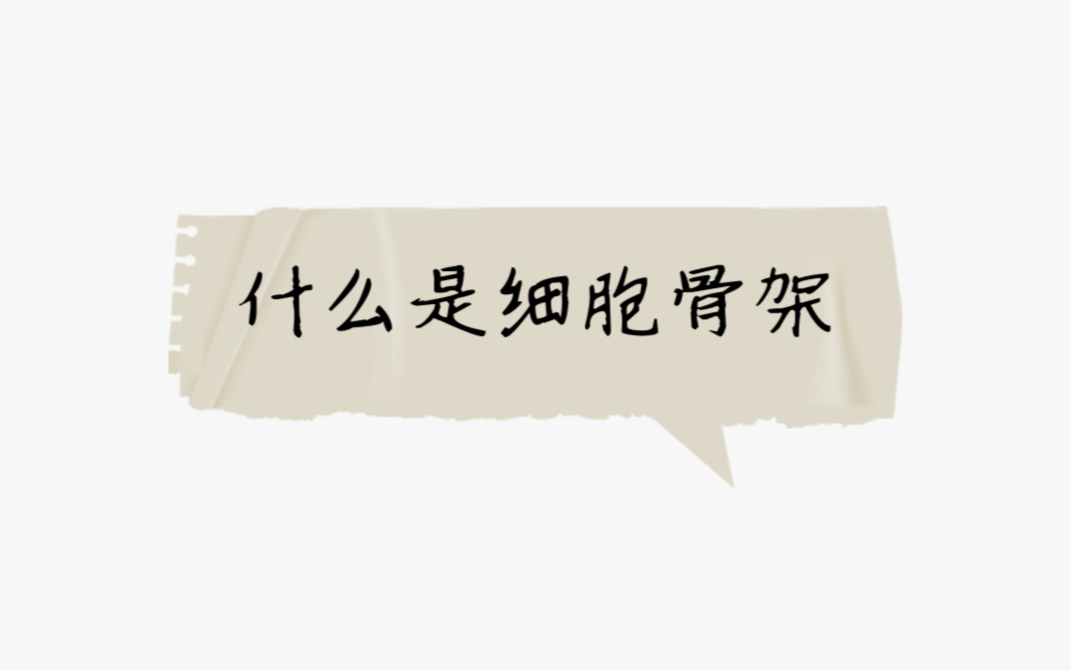 生物知识点|什么是细胞骨架