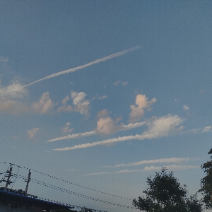 有机物お 