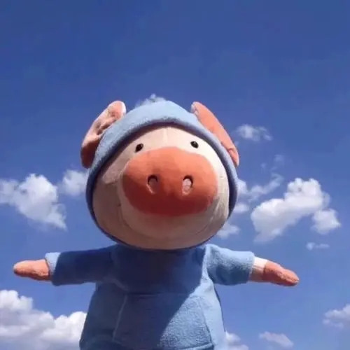 隐姓埋名路人甲 