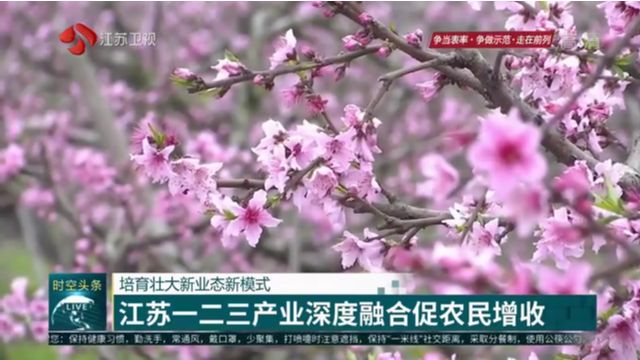培育壮大新业态新模式,江苏一二三产业深度融合促农民增收