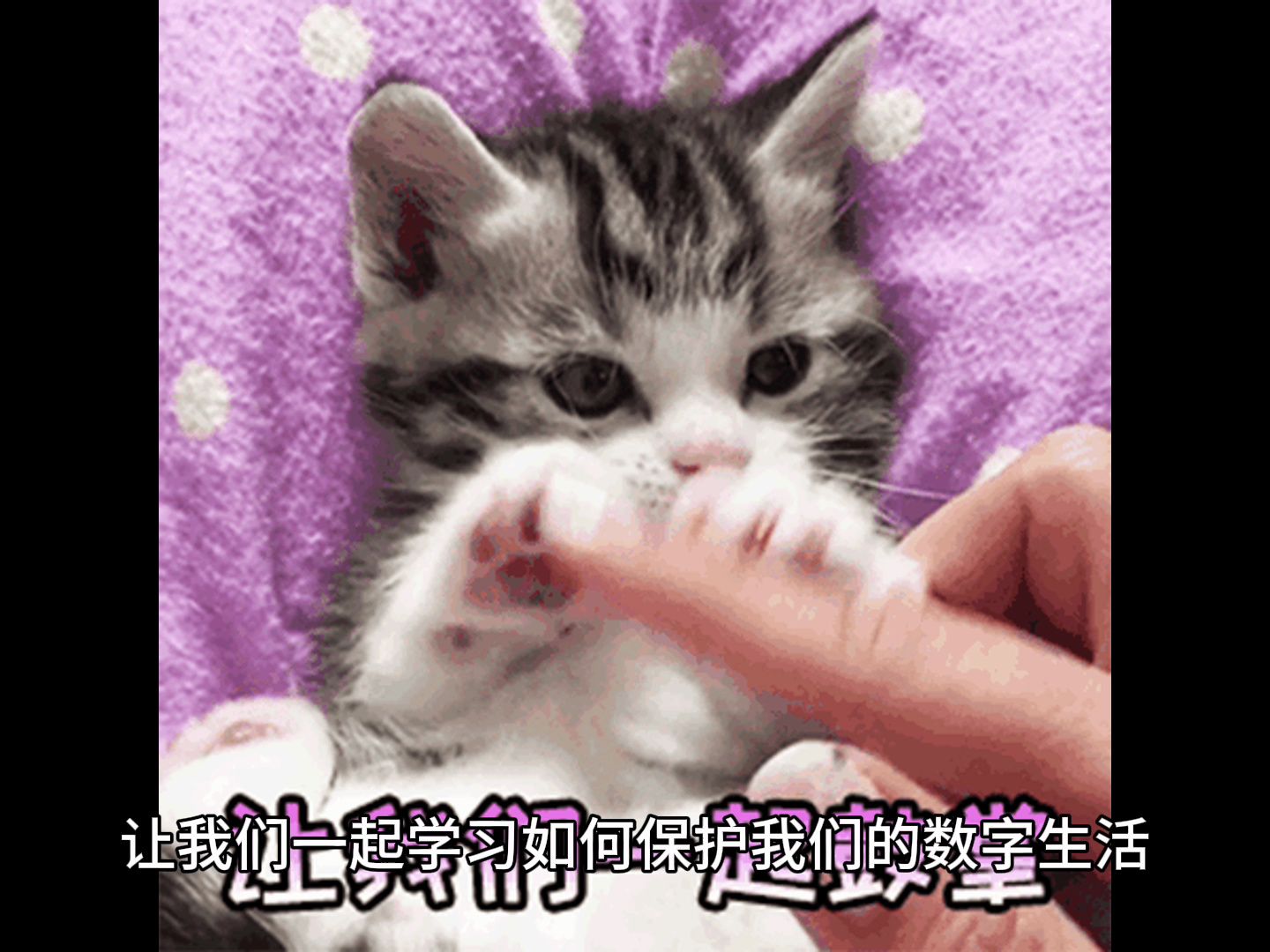 黑客的新战场:揭秘SQL注入攻击并提前保护