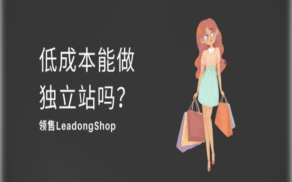 低成本能做跨境B2C独立站吗?