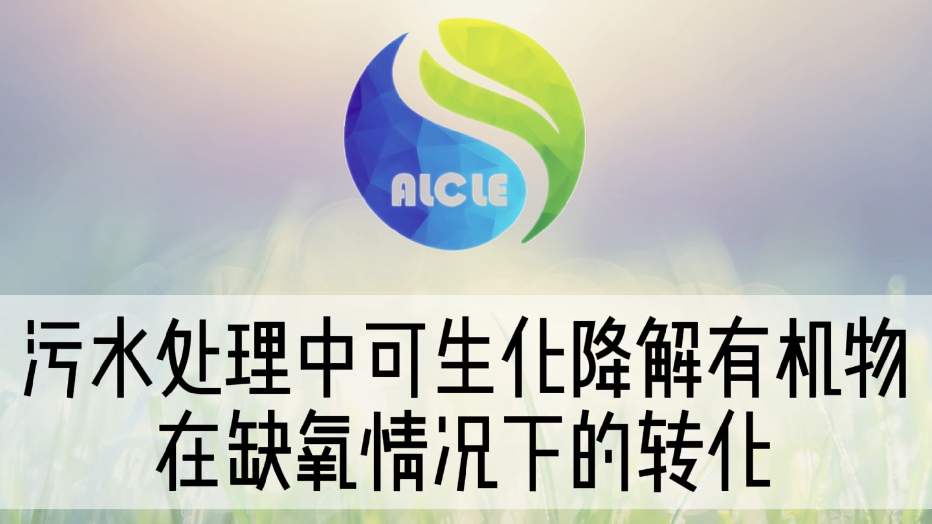 污水处理中可生化降解有机物在缺氧情况下的转化