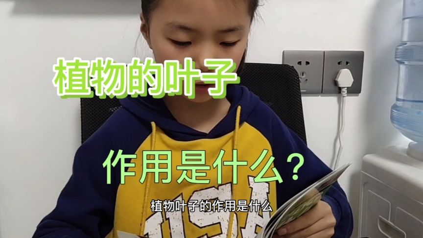 植物叶子的作用是什么?