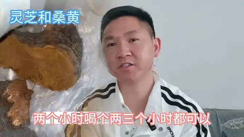 灵芝和桑黄是同一个品种吗怎么吃更好
