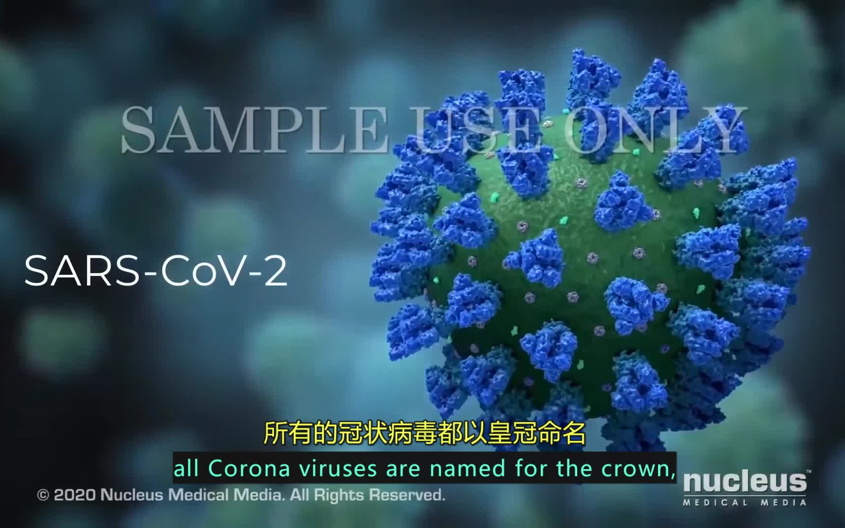 【3D医学动画】致敬“共和国勋章”获得者▁新冠肺炎(中英双字幕+...