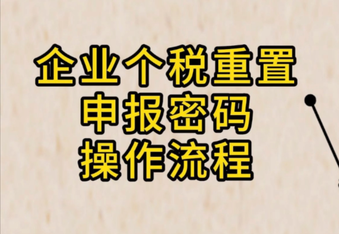 企业个税重置申报密码操作流程