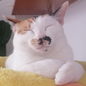 在这最后的日子 