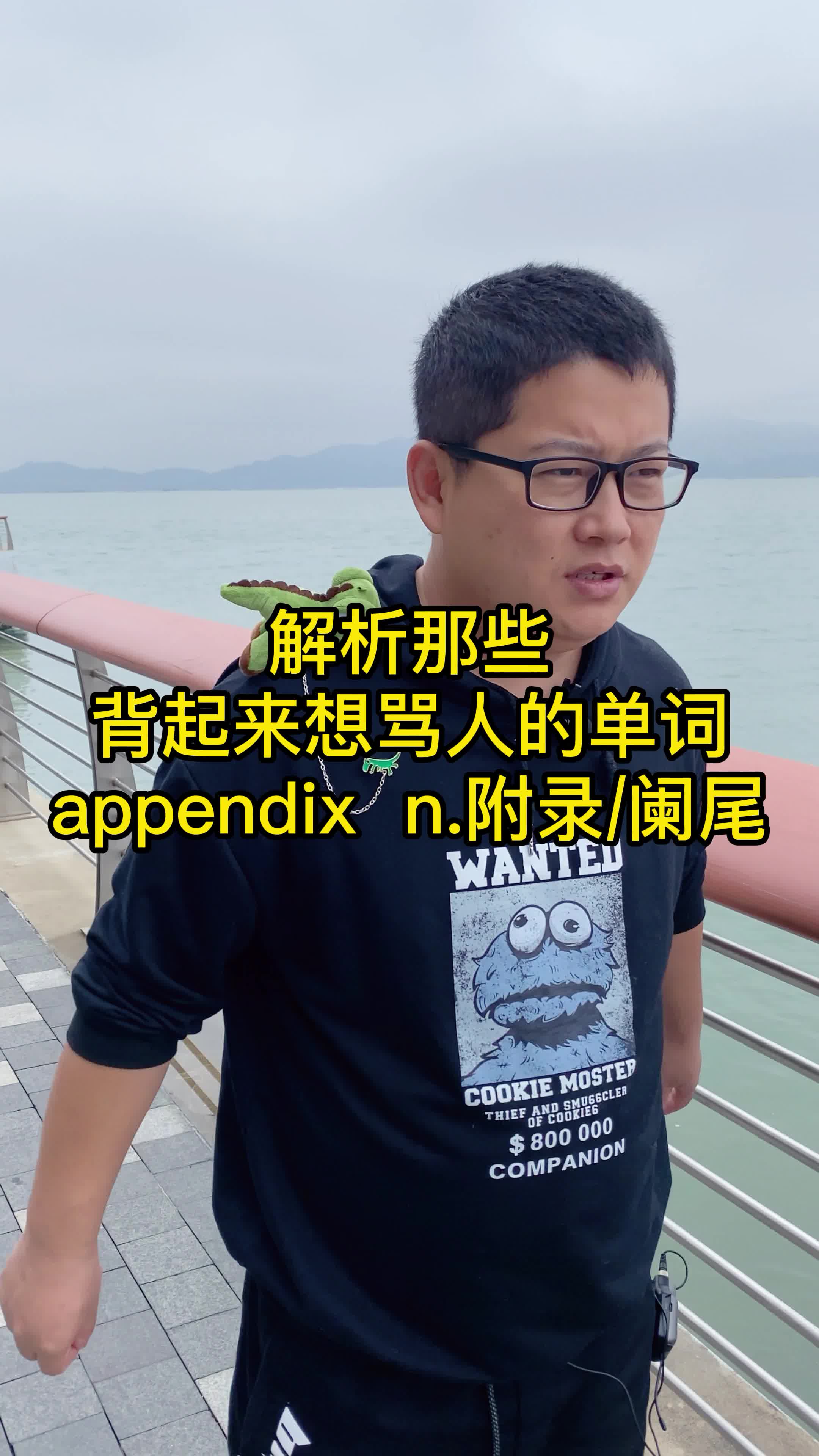 单词解析 appendix n.附录 阑尾 词根词缀记忆法
