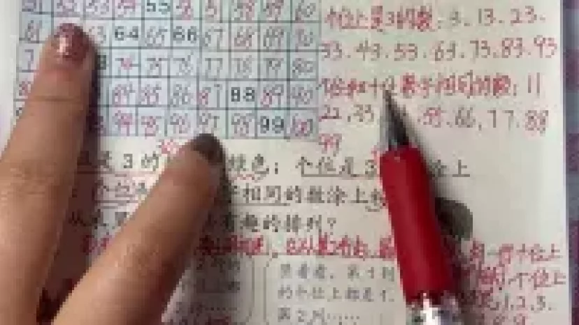 《100以内数的认识》三 百数表规律